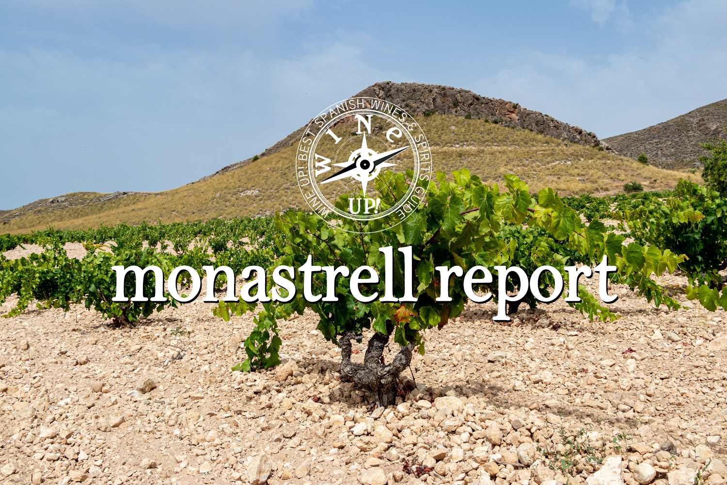 MONASTRELL VINOS DE CARÁCTER MEDITERRÁNEO - Wine Up! guía de vinos y ...